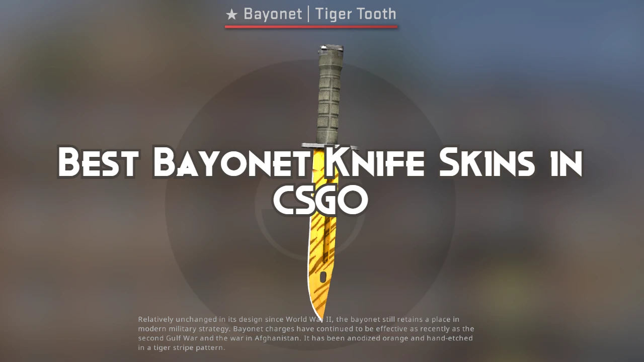 Best Bayonet Knife Skins in CS2 - Playing History