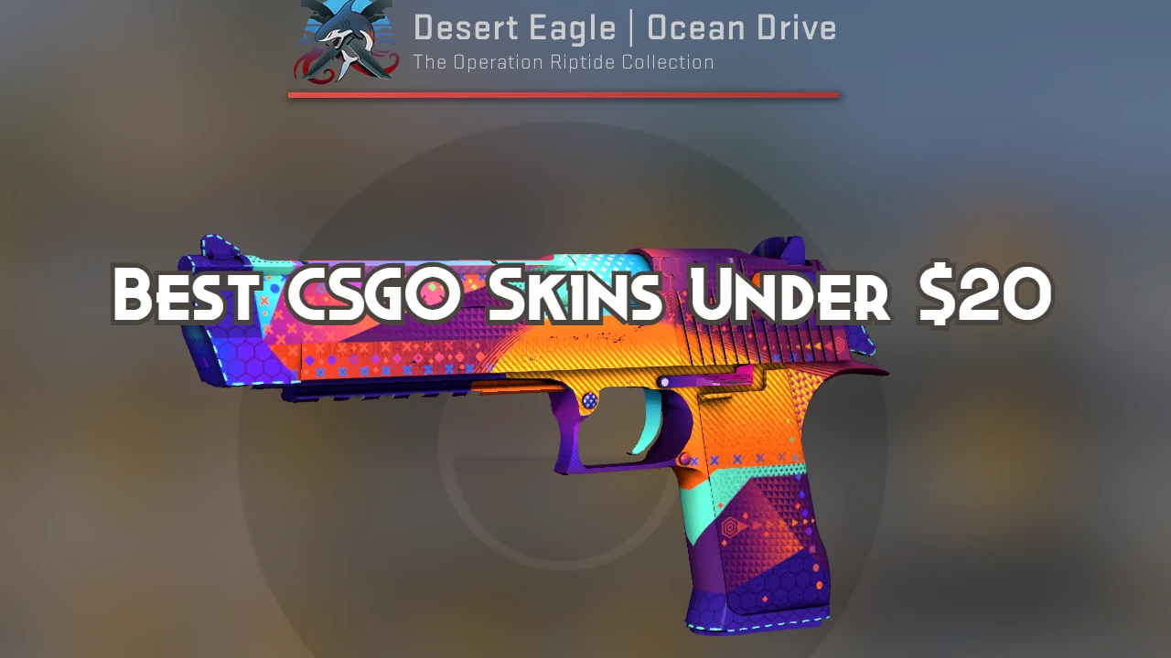 Best CS2 Skins Under $20 in 2023 - Playing History
