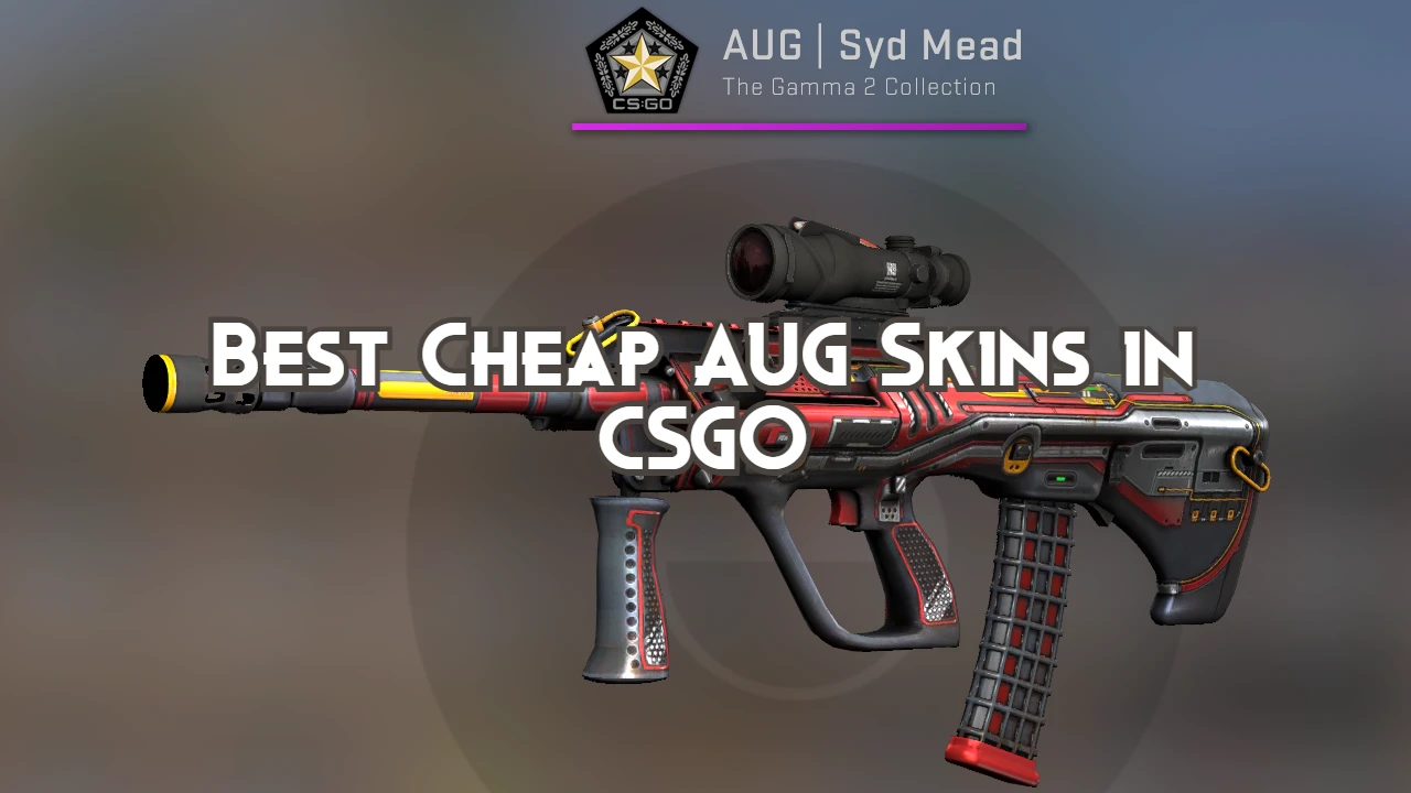 Best Cheap AUG Skins in CS2: Under $10 - Playing History