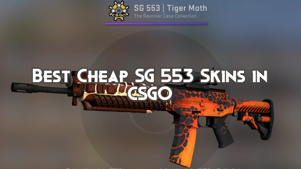 Best Cheap SG 553 Skins in CS2: Under $10 - Playing History