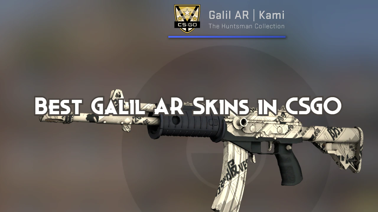 Best Galil AR Skins in CS2 - Playing History