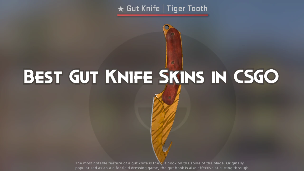 Best Gut Knife Skins in CS2 - Playing History