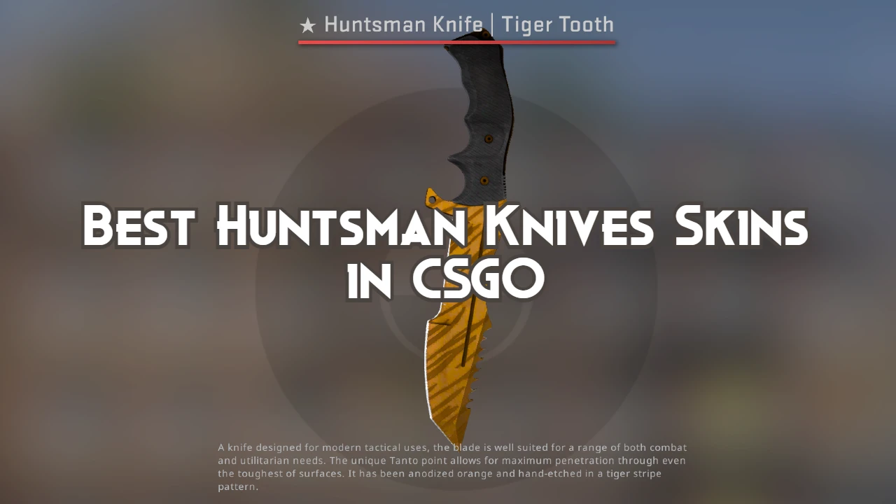Best Huntsman Knives Skins in CS2 - Playing History