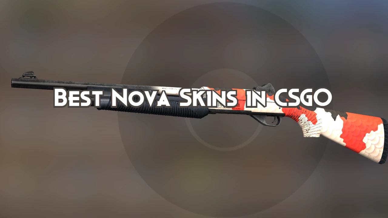 Best Nova Skins in CS2 - Playing History