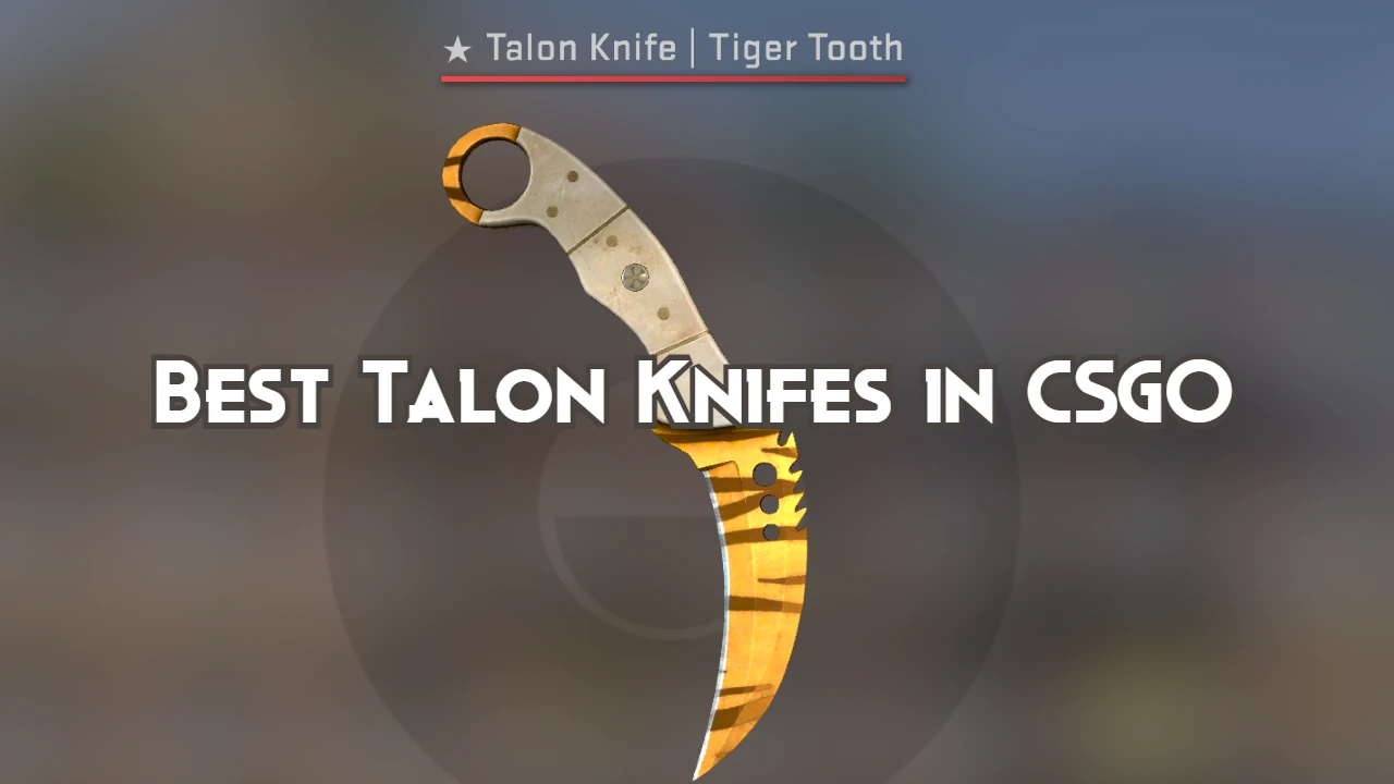 Best Talon Knife Skins in CS2 - Playing History