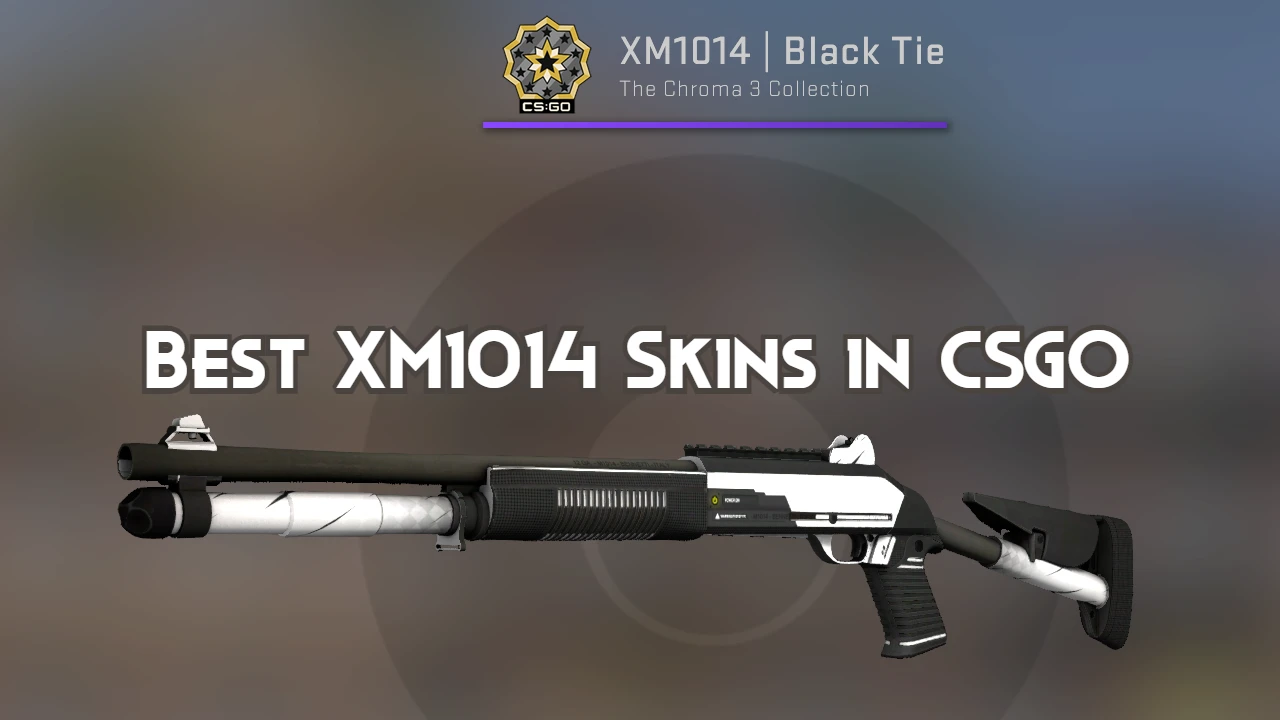 Best XM1014 Skins in CS2 - Playing History
